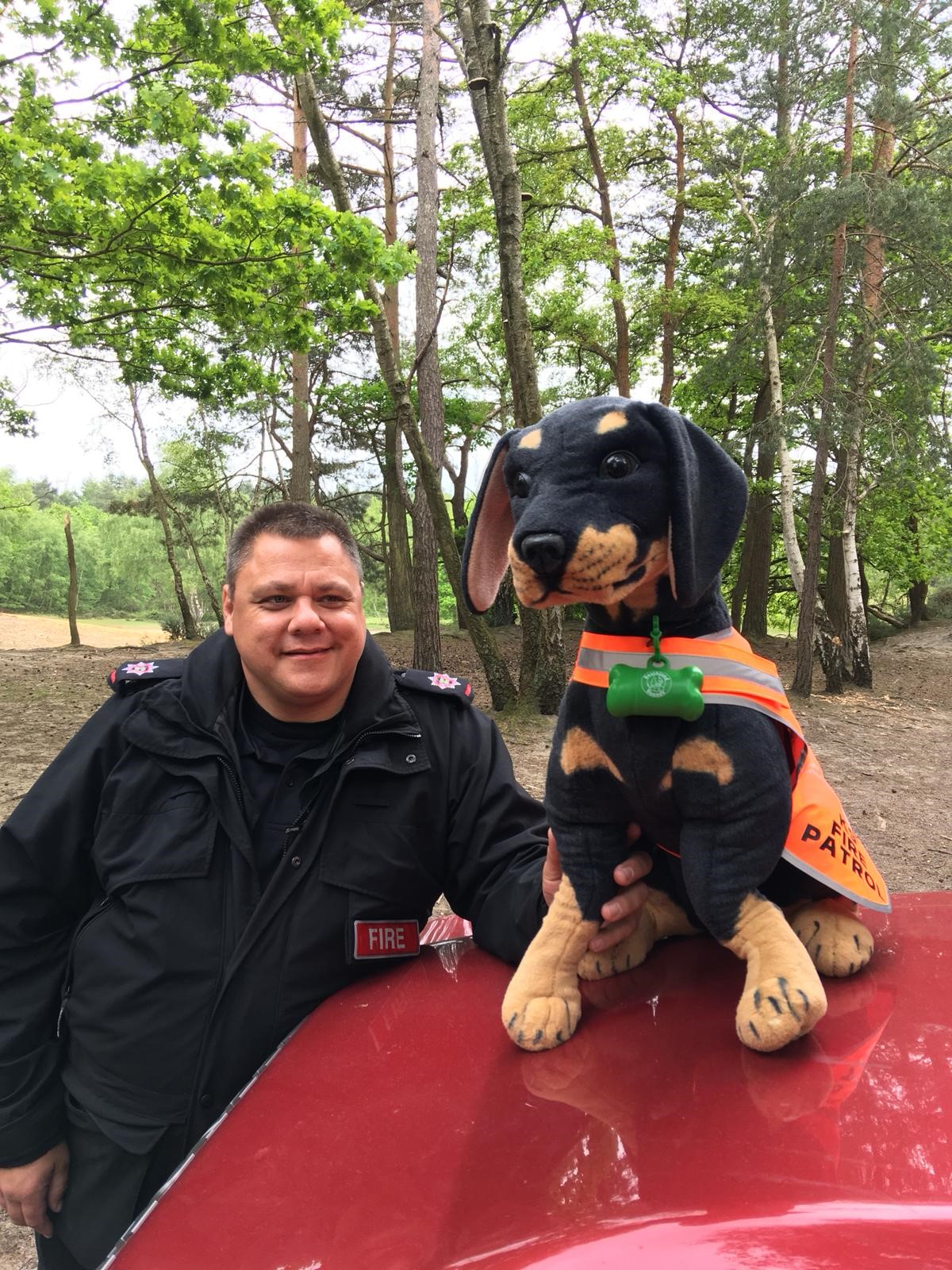 K9 fire patrol - Thames Basin Heaths